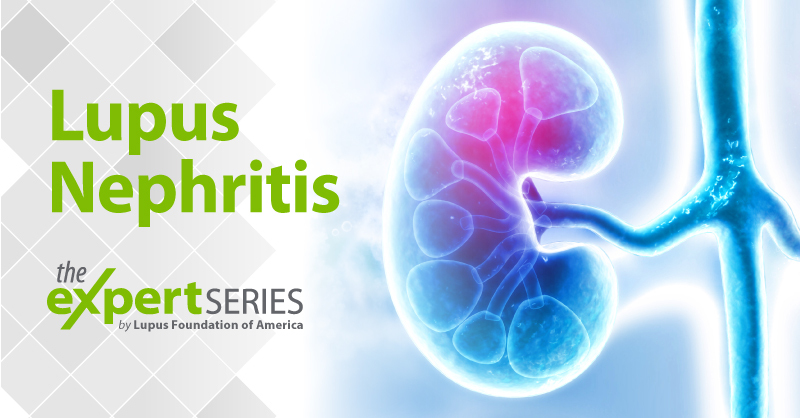 The Expert Series: Lupus Nephritis | Lupus Foundation of America
