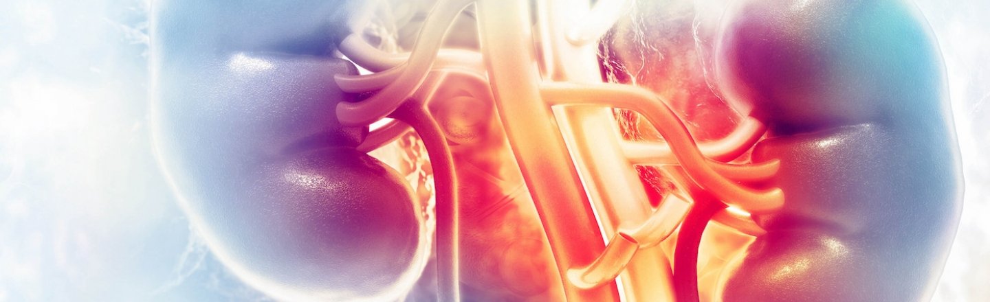 Lupus and the Kidneys | Lupus Foundation of America