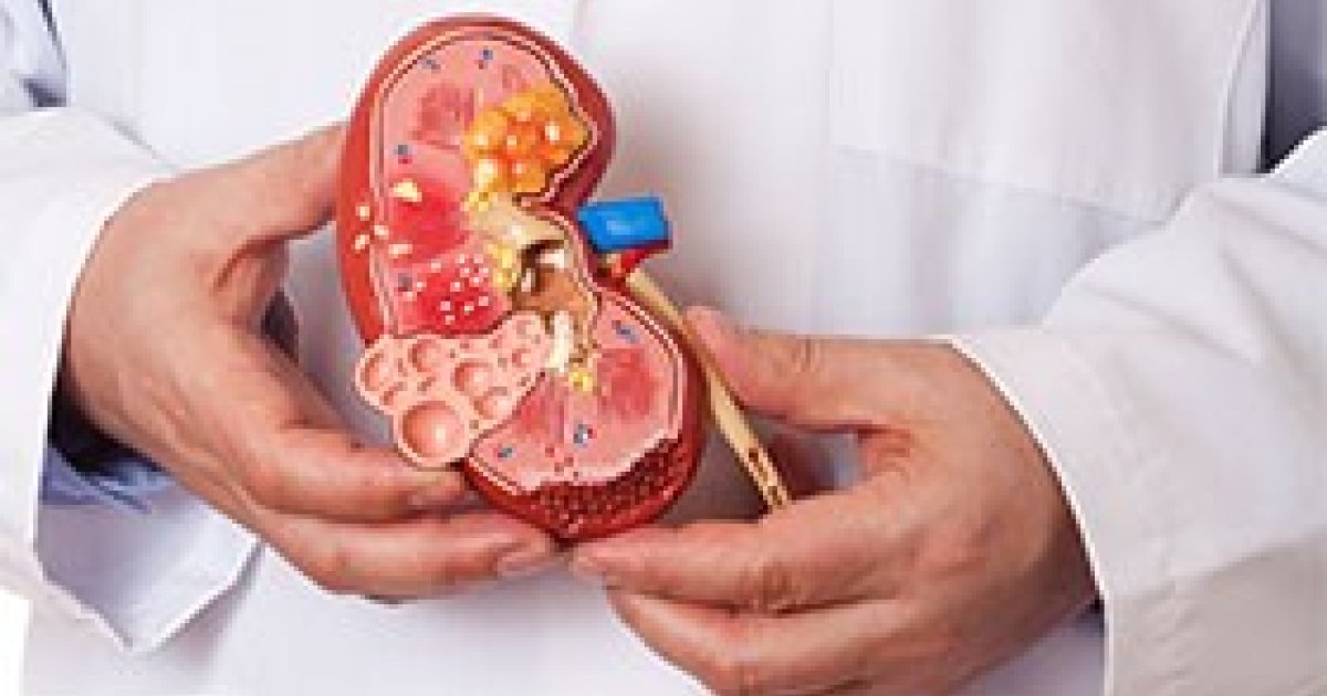 Urinary HER2 as a biomarker for lupus nephritis (Year Four Update ...