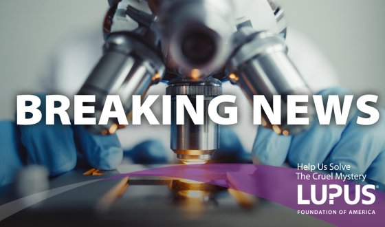 Inside Lupus Research | Lupus Foundation of America